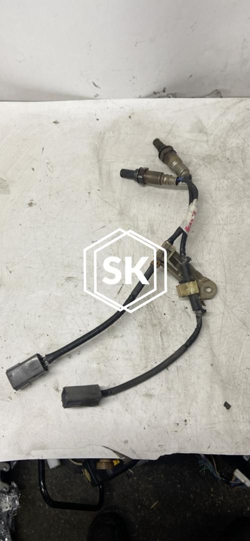 BIANTE PE O2 SENSOR - SK AUTO CARPARTS